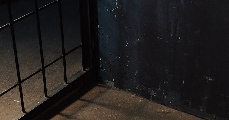 Ex-Ethereum Dev Virgil Griffith Gets 5+ Years in Prison for North Korea ...